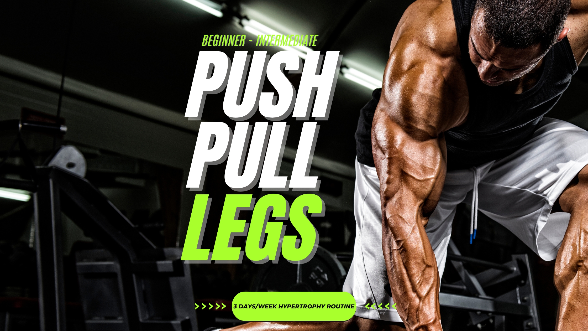 Push, Pull, Legs: A Beginner’s Workout and Guide to Building Strength ...